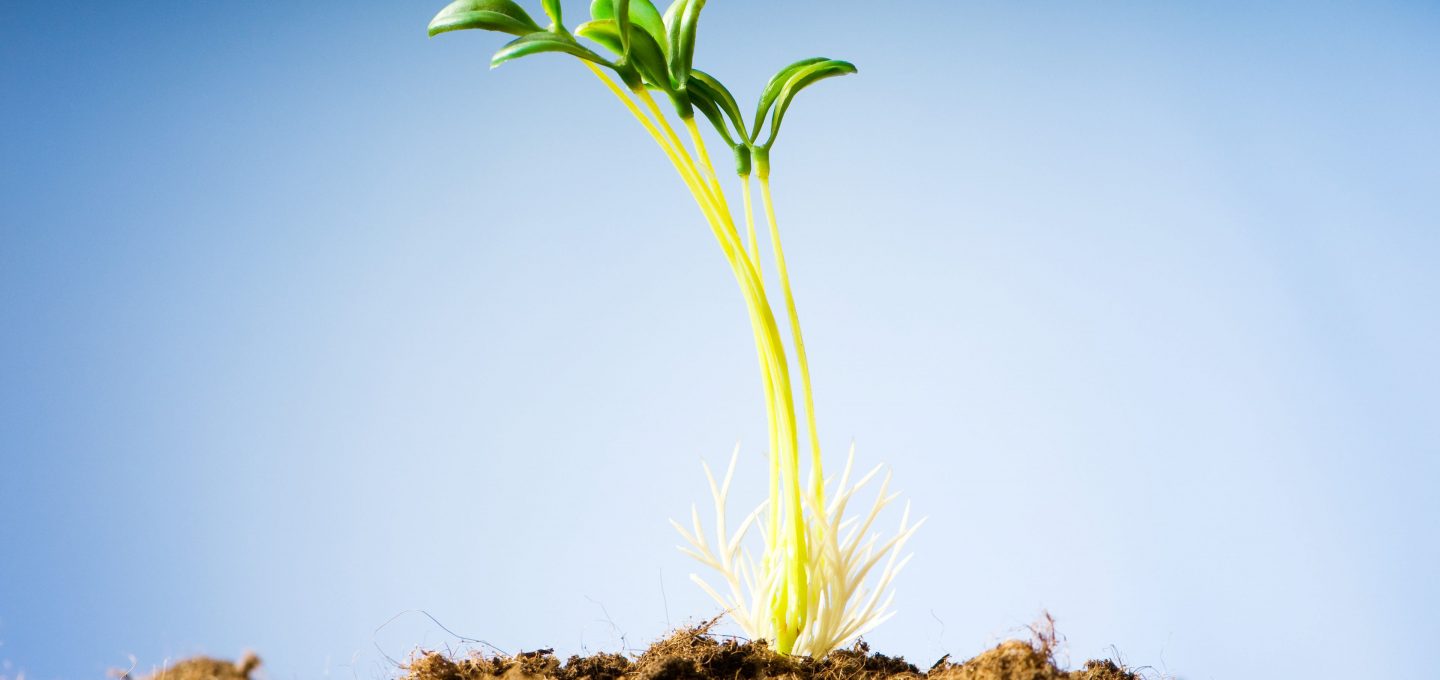 TCC Training and Consultancy